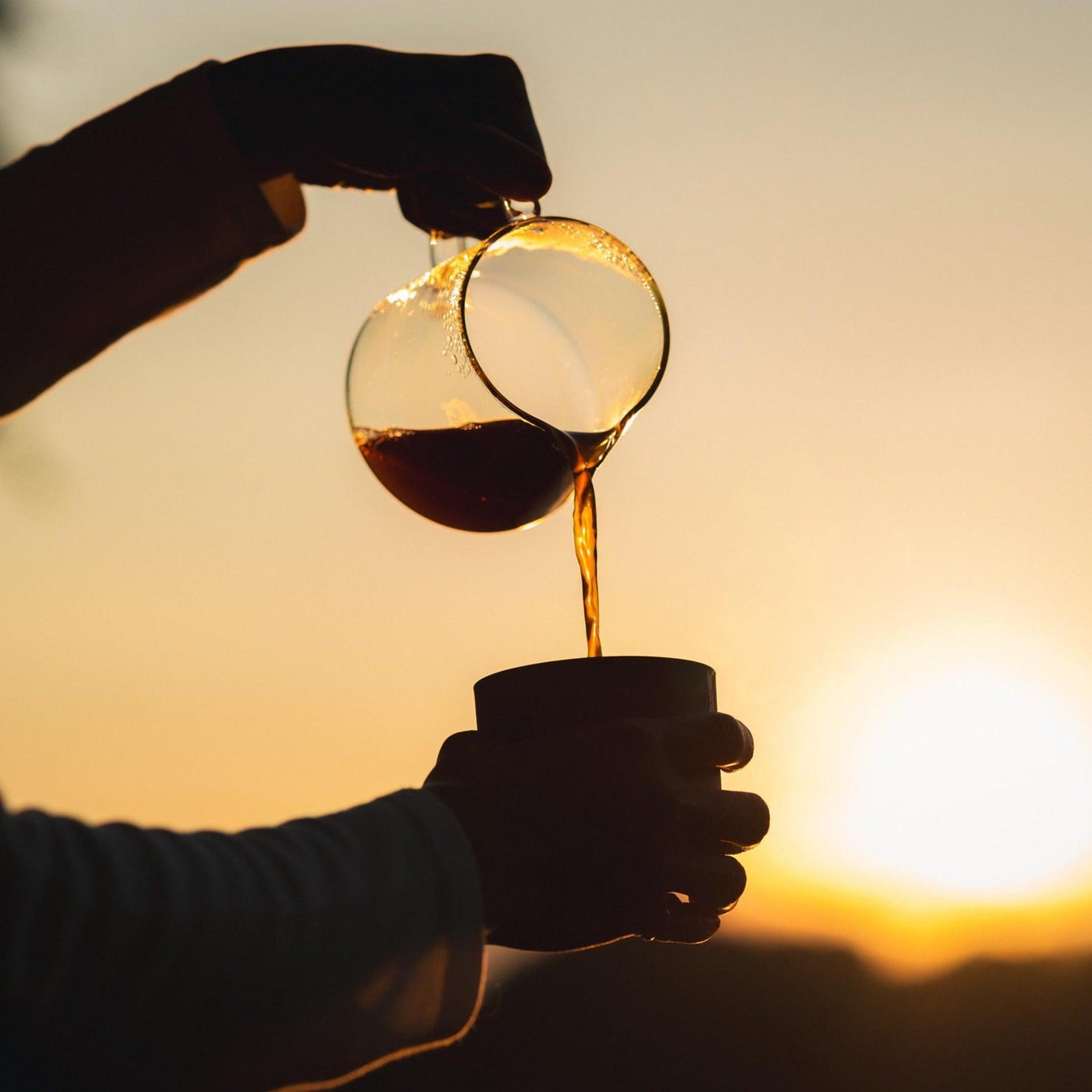 ELEMENTAL Coffee Beans - THE BARN Berlin – THE BARN Coffee Roasters Berlin