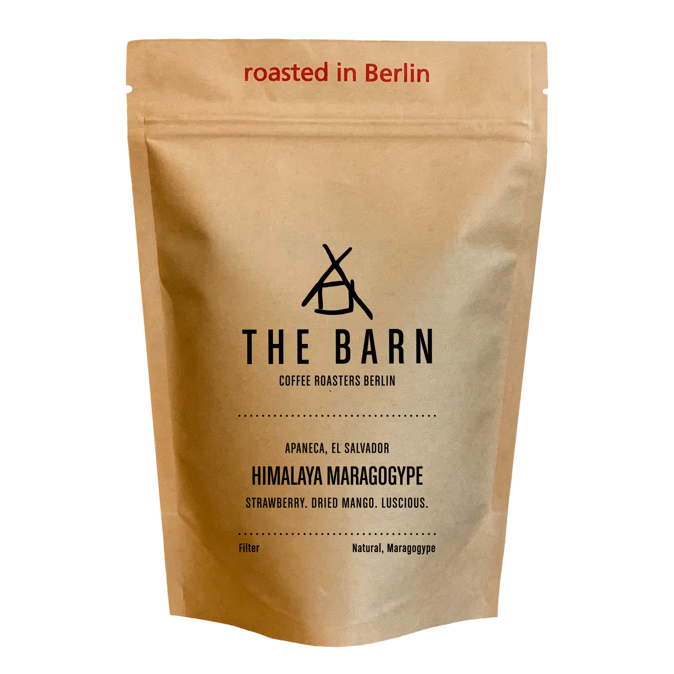 Himalaya Maragogype: Filter Coffee Beans from El Salvador – THE BARN ...